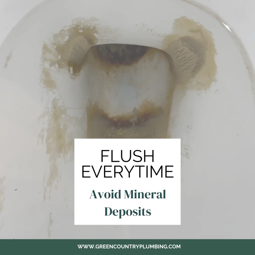 The Hidden Dangers of Not Flushing After Urination. Flush Toilet ...